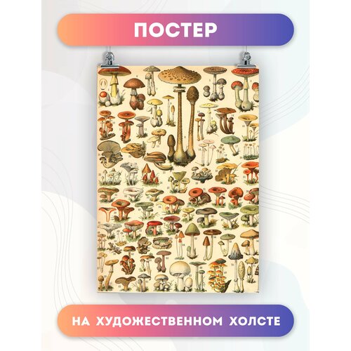 Постер на холсте goblincore aesthetic гоблинкор эстетика грибы (19) 60х80 см
