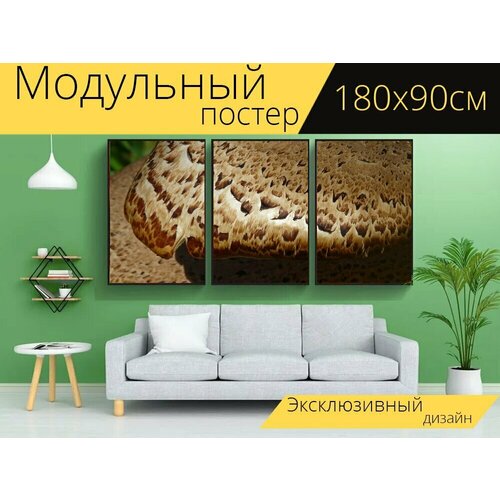 Модульный постер "Перхоть, гриб, древесный гриб" 180 x 90 см. для интерьера