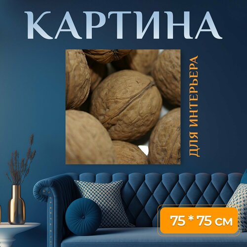Картина на холсте "Грецкий орех, орехи, свежий" на подрамнике 75х75 см. для интерьера
