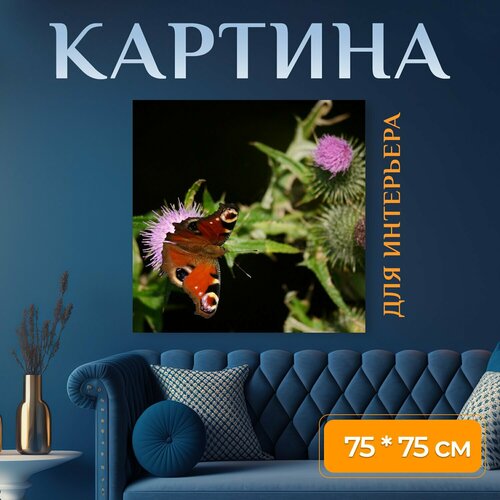 Картина на холсте "Бабочка, природа, насекомое" на подрамнике 75х75 см. для интерьера