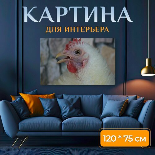 Картина на холсте "Курица, домашняя птица, животное" на подрамнике 120х75 см. для интерьера