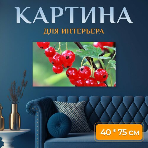 Картина на холсте "Красная смородина, фрукты, смородина" на подрамнике 75х40 см. для интерьера