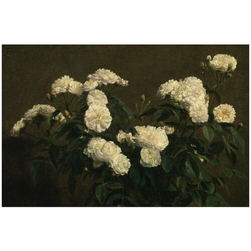 Репродукция на холсте Натюрморт белых роз Фантен-Латур Анри 76см. x 50см.