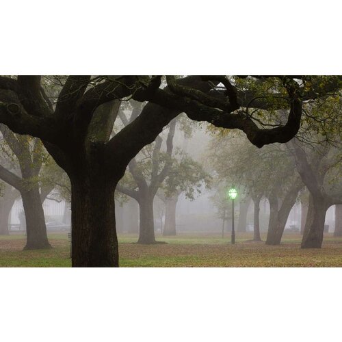 Картина на холсте 60x110 Альянс Лес "Туман фонарь город деревья" на подрамнике / интерьер/ декор
