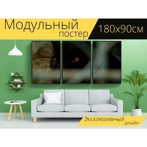 Модульный постер "Большой кот, пантера, смотрящий" 180 x 90 см. для интерьера
