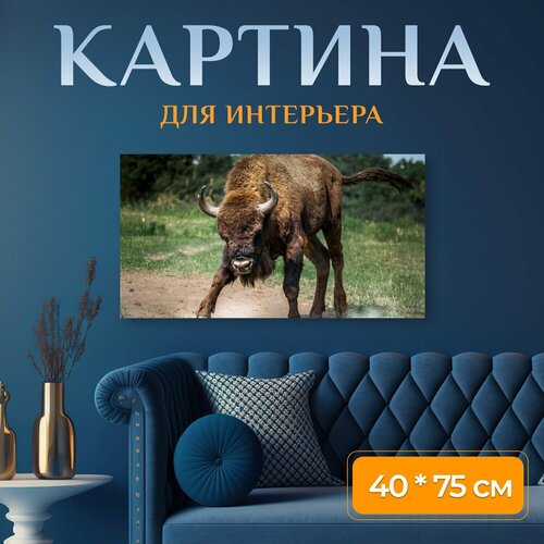 Картина на холсте "Европейский бизон, зубр, животное" на подрамнике 75х40 см. для интерьера