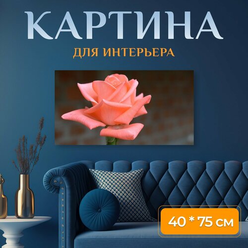 Картина на холсте "Колумбия, цветы, розы" на подрамнике 75х40 см. для интерьера