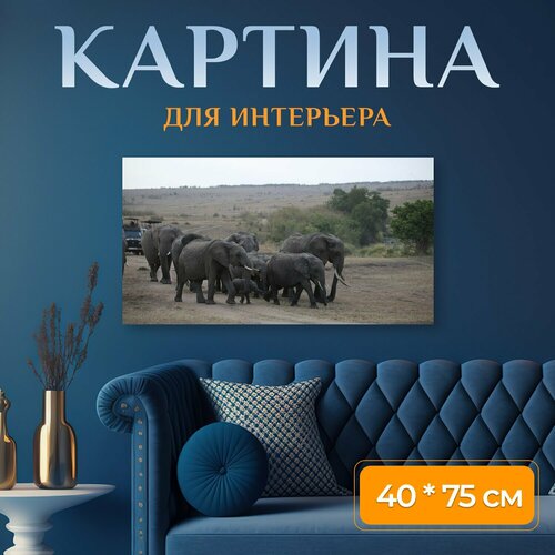 Картина на холсте "Слон, стадо, дикая природа" на подрамнике 75х40 см. для интерьера