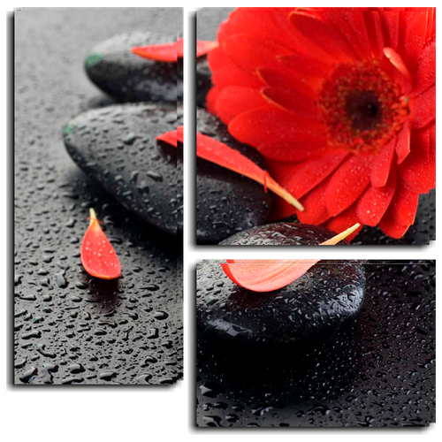 Модульная картина Красный цветок, Дзен 57х52 см
