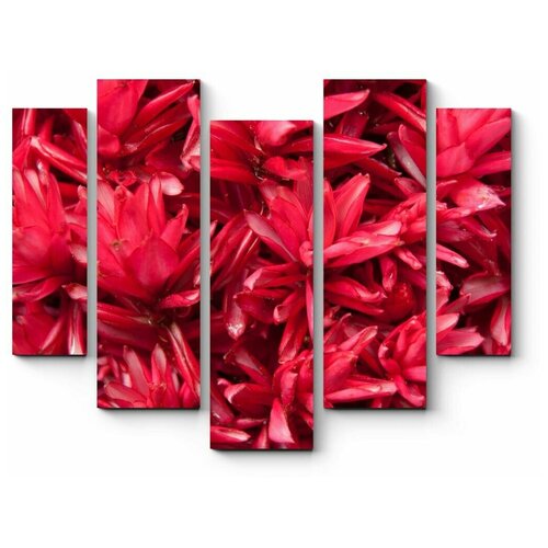 Модульная картина Красные тропические цветы201x163