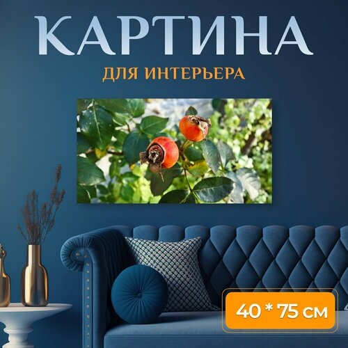 Картина на холсте "Розовый куст, роза, шиповник" на подрамнике 75х40 см. для интерьера