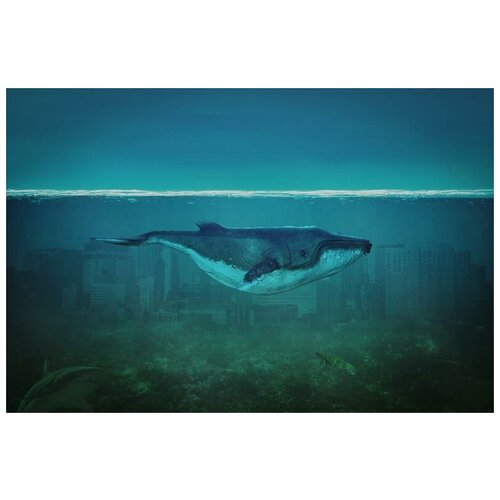 Постер / Плакат / Картина Синий кит под водой 60х90 см в подарочном тубусе