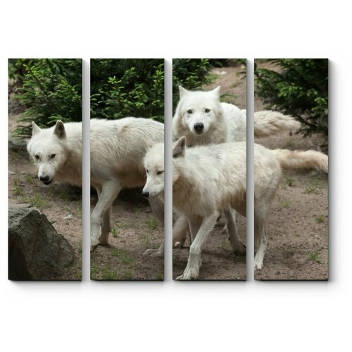 Модульная картина Полярные волки 110x83
