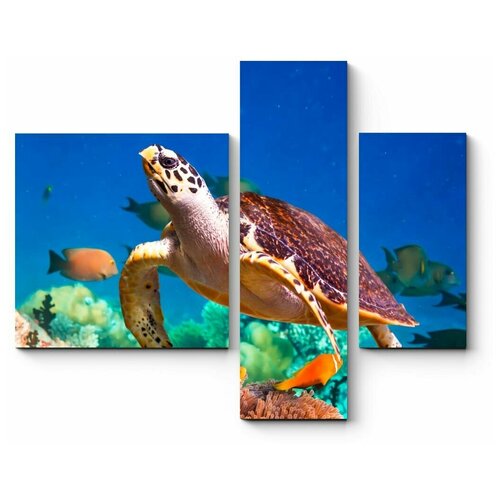 Модульная картина Черепаха в коралловом рифе90x74