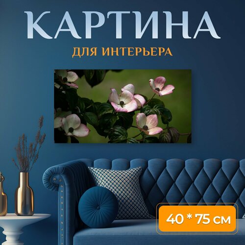 Картина на холсте "Кизил, цветы, листья" на подрамнике 75х40 см. для интерьера
