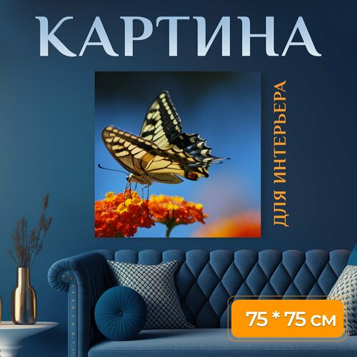 Картина на холсте "Бабочка, природа, красота" на подрамнике 75х75 см. для интерьера