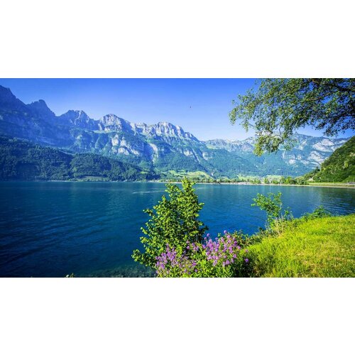 Картина на холсте 110x60 LinxOne "Швейцария цветы трава горы" интерьерная для дома / на стену / на кухню / с подрамником