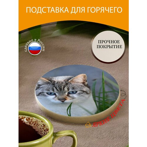 Подставка под горячее "Кошка, кот, feline" 10 см. из блого мрамора