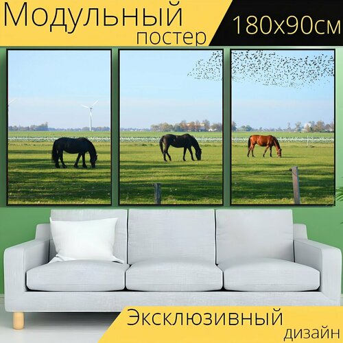 Модульный постер "Лошади, животные, пастбище" 180 x 90 см. для интерьера