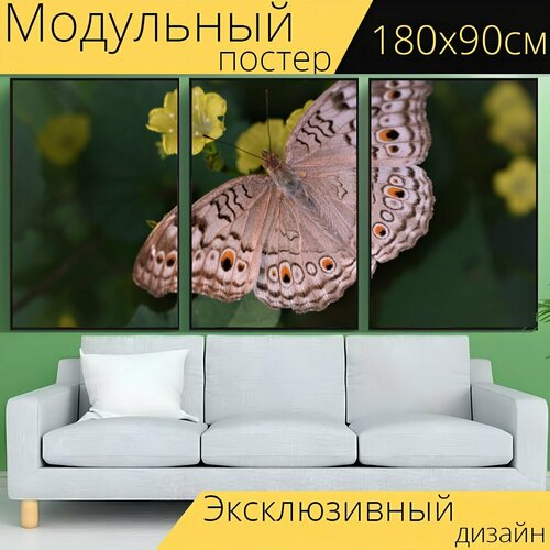 Модульный постер "Бабочка, природный пейзаж, цветок" 180 x 90 см. для интерьера