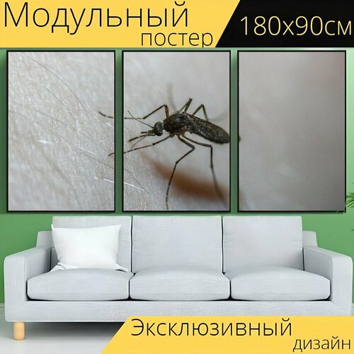 Модульный постер "Ошибки, насекомое, жук" 180 x 90 см. для интерьера