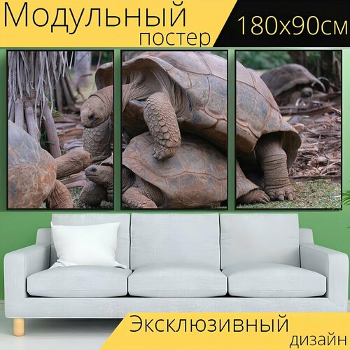 Модульный постер "Гигантская черепаха, животное, черепаха" 180 x 90 см. для интерьера