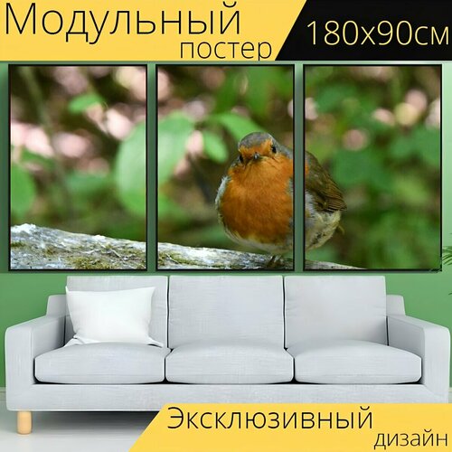 Модульный постер "Робин, зарянка, садовые птицы" 180 x 90 см. для интерьера