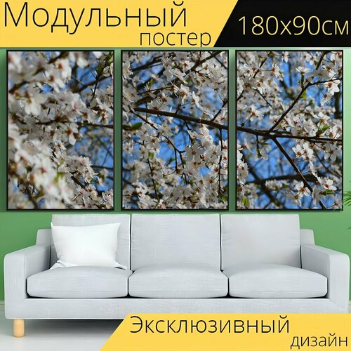 Модульный постер "Весна, цвести, вишневое дерево" 180 x 90 см. для интерьера