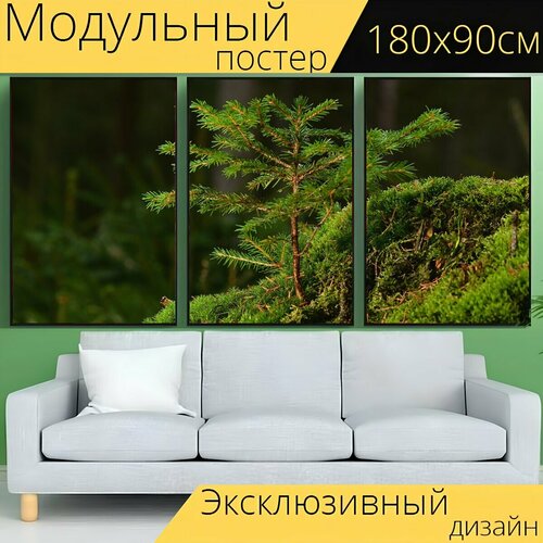 Модульный постер "Хвойное дерево, дерево, лес" 180 x 90 см. для интерьера