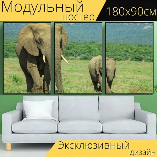 Модульный постер "Слон, животное, дикая природа" 180 x 90 см. для интерьера