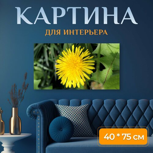Картина на холсте "Одуванчик, желтый, цветы" на подрамнике 75х40 см. для интерьера