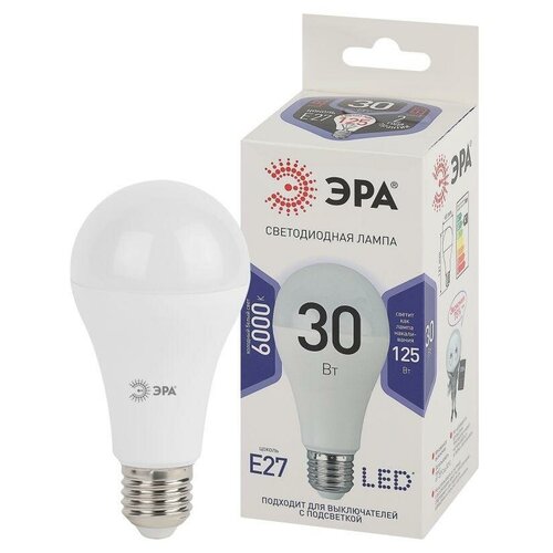 Лампа светодиодная LED A65-30W-860-E27 A65 30Вт груша E27 холод. бел. | код. Б0048017 | Эра (4шт. в упак.)