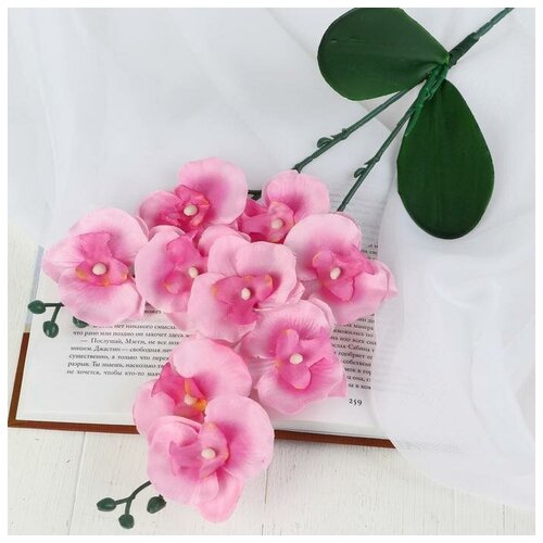 --- Цветы искусственные "Орхидея Фаленопсис мультифлора" 6х37 см, розовый