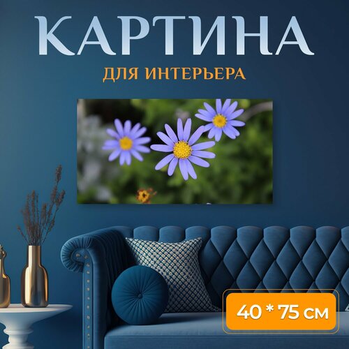 Картина на холсте "Цветок, синий, растения" на подрамнике 75х40 см. для интерьера
