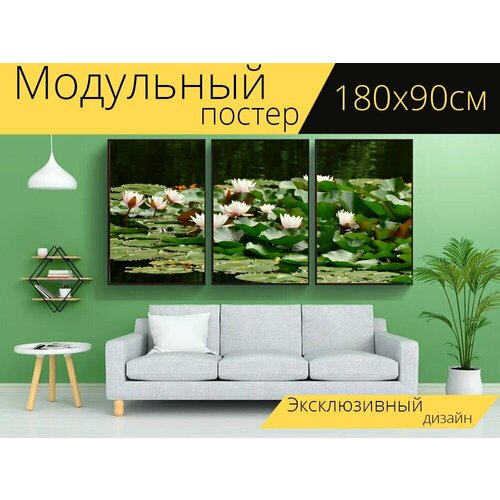 Модульный постер "Водяные лилии, пруд с лилиями, пруд" 180 x 90 см. для интерьера