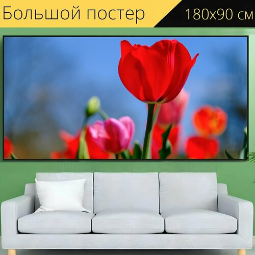 Большой постер "Тюльпан, цветок, красный" 180 x 90 см. для интерьера