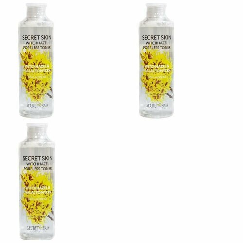 Secret Skin, Тонер для лица с экстрактом гамамелиса Witchhazel Poreless, 250 мл, 3 шт