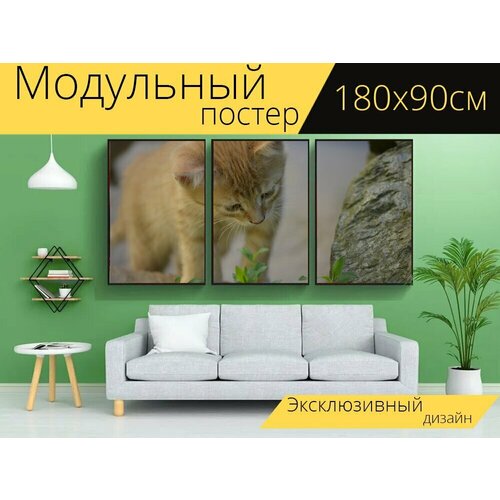 Модульный постер "Любопытство, кот, милый" 180 x 90 см. для интерьера