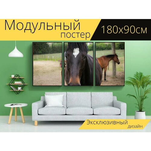 Модульный постер "Лошадь, голова, лошадиная голова" 180 x 90 см. для интерьера