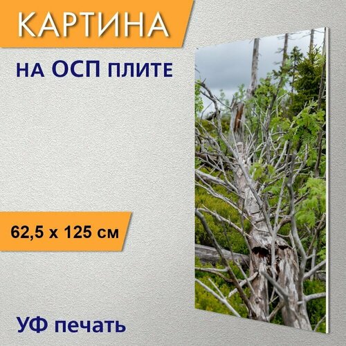 Вертикальная картина на ОСП "Лес, деревья, ветви" 62x125 см. для интерьериа