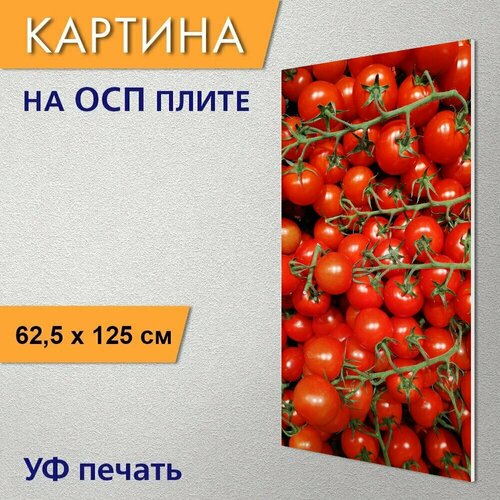 Вертикальная картина на ОСП "Помидоры, овощи, здоровый" 62x125 см. для интерьериа