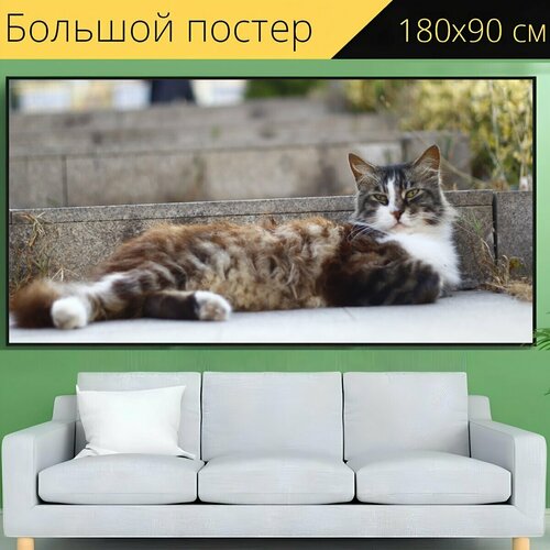 Большой постер "Кошка, кошачий, домашний питомец" 180 x 90 см. для интерьера