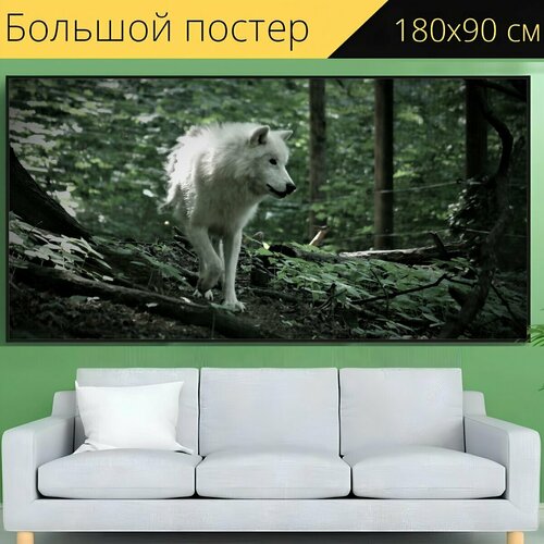 Большой постер "Волк, животное, хищник" 180 x 90 см. для интерьера