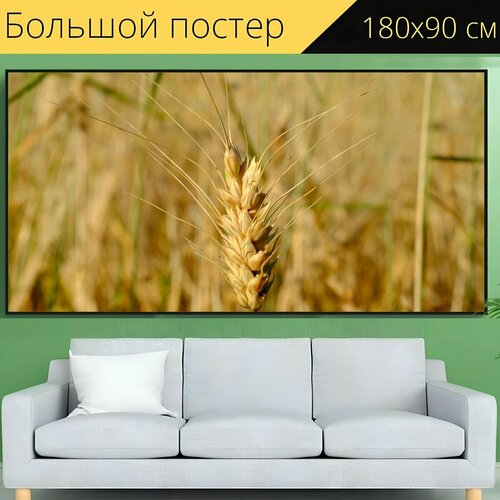 Большой постер "Ухо, пшеница, зерно" 180 x 90 см. для интерьера