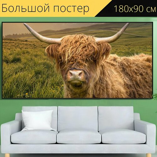 Большой постер "Горный скот, крупный рогатый скот, животное" 180 x 90 см. для интерьера