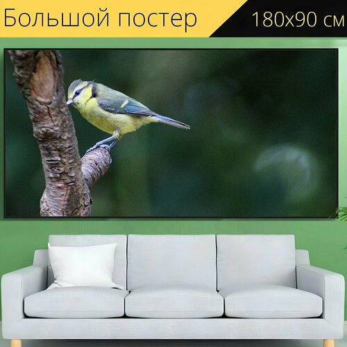 Большой постер "Птица, дикая природа, природа" 180 x 90 см. для интерьера