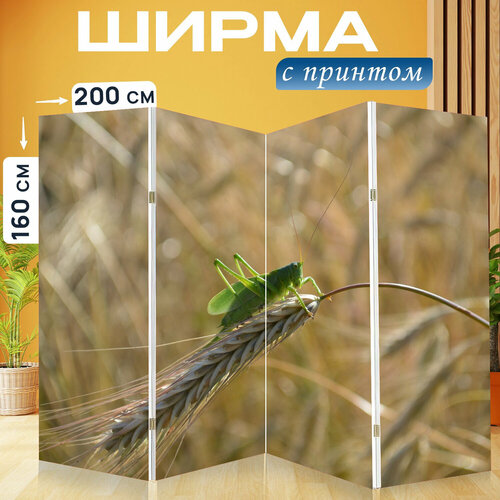 Ширма перегородка с принтом "Кузнечик, насекомое, зерно" на холсте - 200x160 см. для зонирования, раскладная