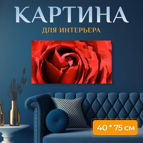 Картина на холсте "Роза, красная роза, цветок" на подрамнике 75х40 см. для интерьера