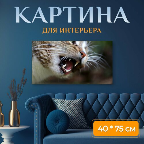 Картина на холсте "Кот, похмелье, зубы" на подрамнике 75х40 см. для интерьера