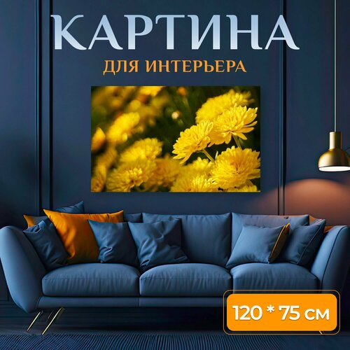 Картина на холсте "Хризантемы, желтые цветы, блум" на подрамнике 120х75 см. для интерьера